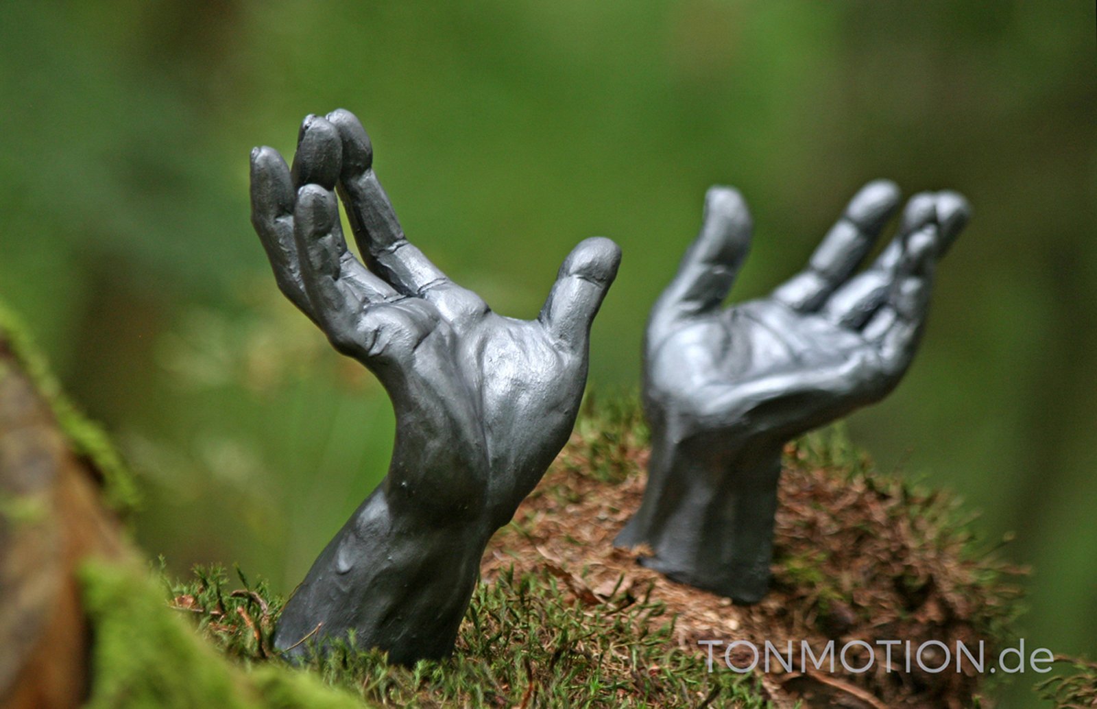 Nicole Engelbart - OpenMind ManagementService